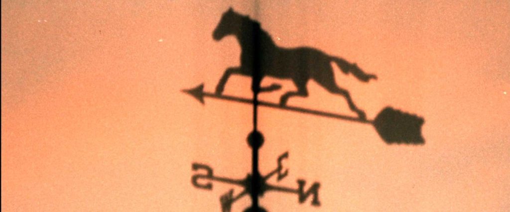 Emoticon - Padrick Ritch - VAEFF 2022 - videoart.net